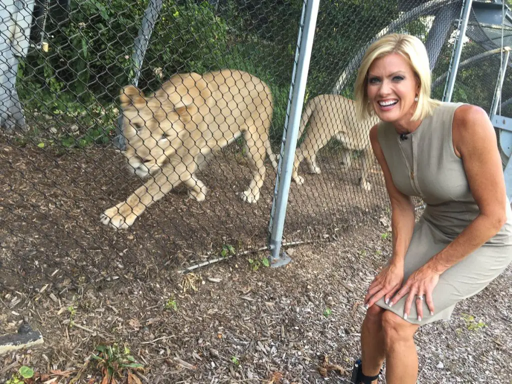 Cecily Tynan: Wiki, Bio, Age, Family, Career, Husband, Net Worth