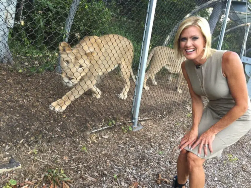 Cecily Tynan: Wiki, Bio, Age, Family, Career, Husband, Net Worth