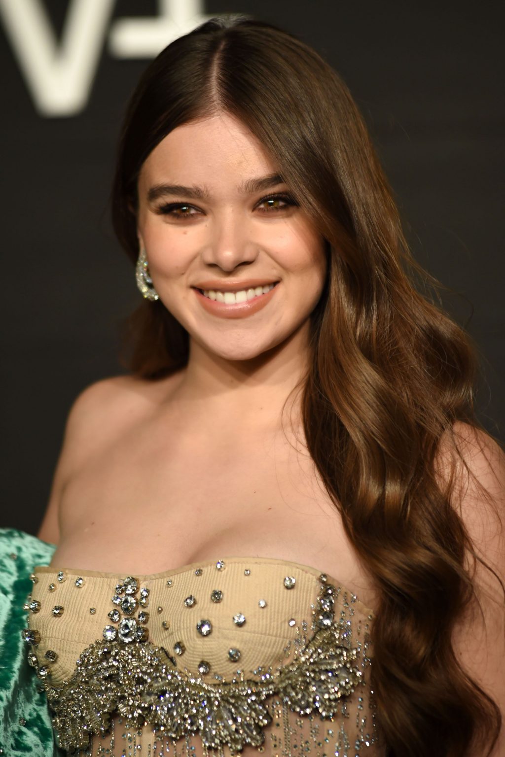 Hailee Steinfeld: Wiki, Bio, Age, Parents, Boyfriends, Net Worth, Awards
