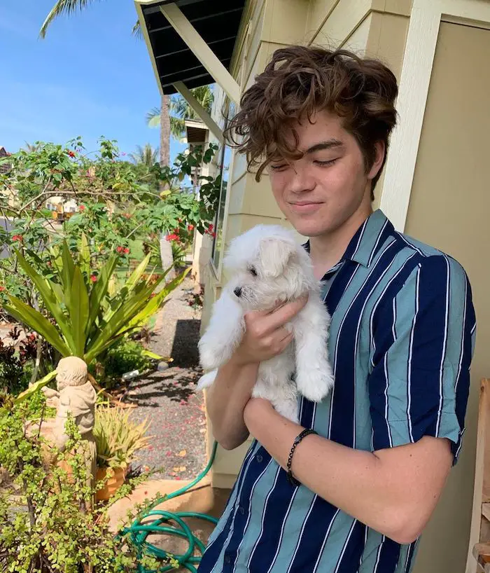 Matthew Sato: Wiki, Bio, Age, Parents, Career, Girlfriend, Height, Net ...