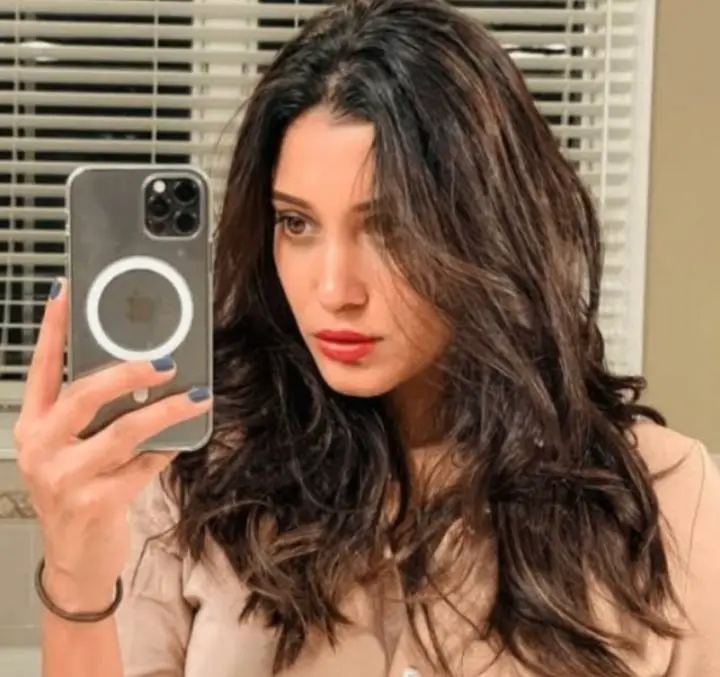 Aneesha Joshi: Wiki, Bio, Age, Career, Family, Caste, Husband, Net Worth