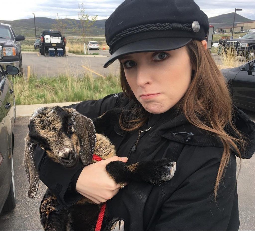 Anna Kendrick: Wiki, Bio, Age, Height, Family, Boyfriend, Net Worth