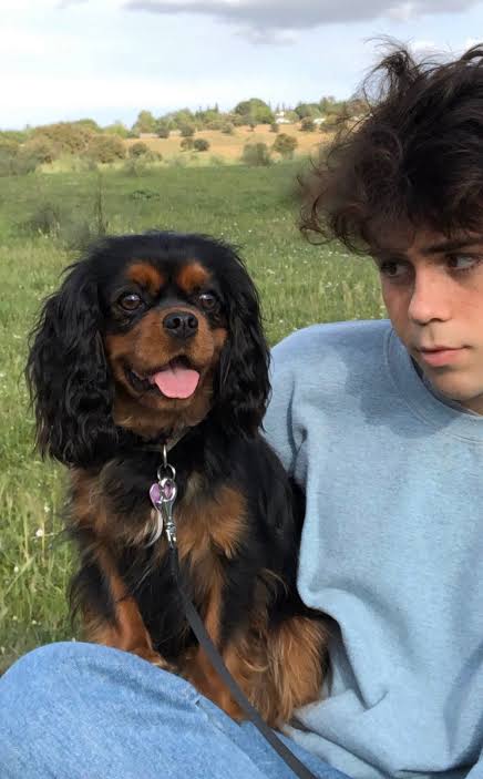Benji Krol: Wiki, Bio, Age, Height, Sexuality, Parents, Boyfriend, Net ...