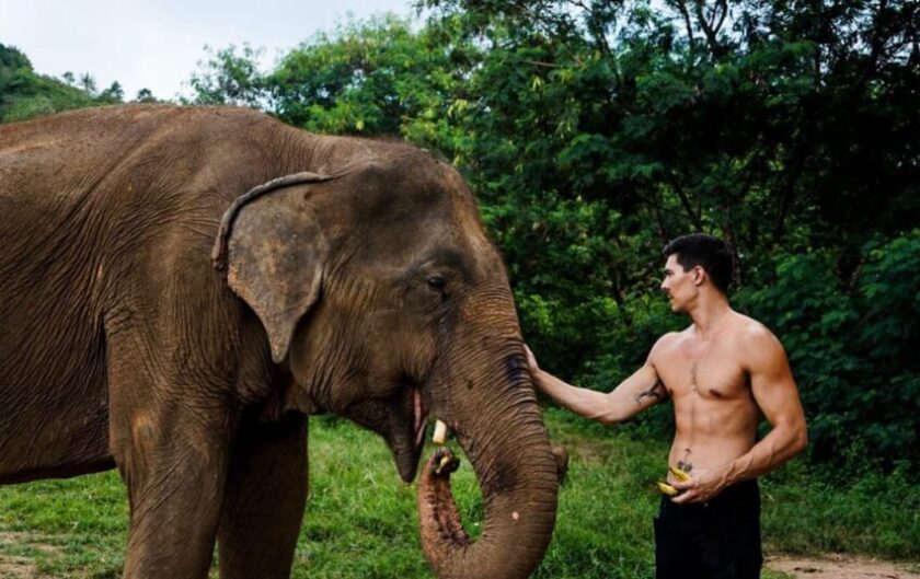 Lewis Tan: Wiki, Bio, Age, Height, Girlfriend, Wife, Nationality, Parents