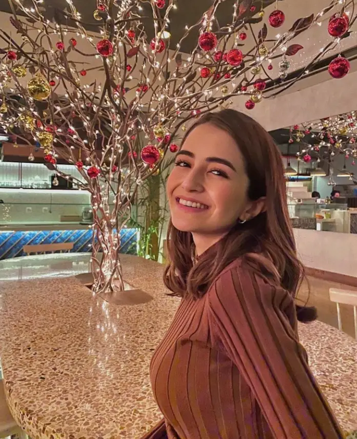 Merub Ali: Wiki, Bio, Age, Height, Career, Family, Husband, Net Worth