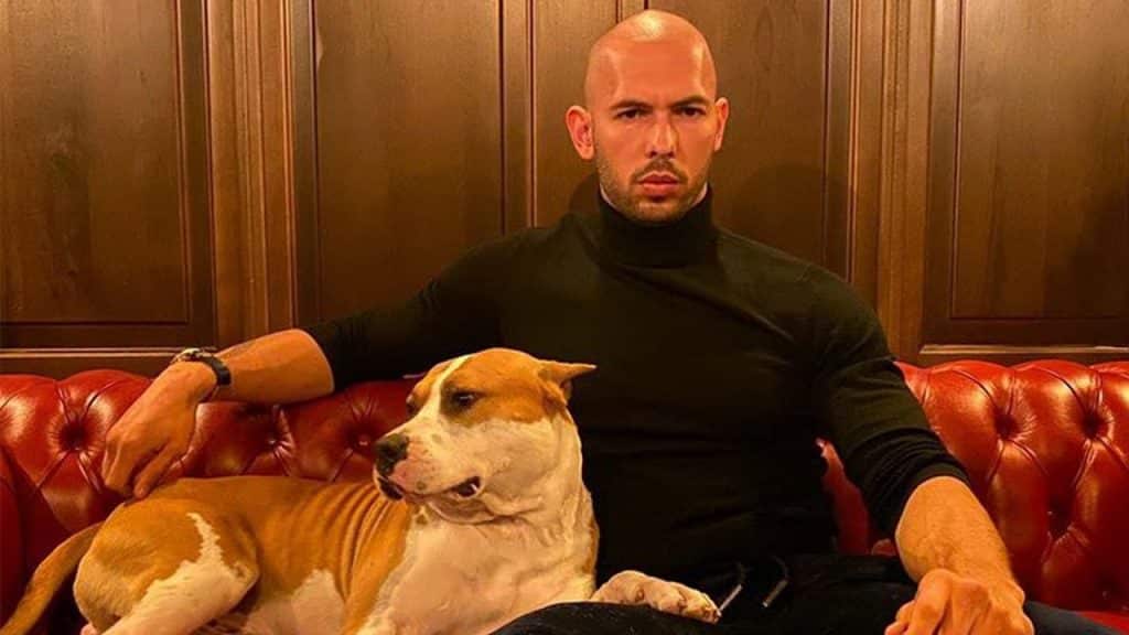 Andrew Tate: Wiki, Bio, Height, Age, Father, Brother, Girlfriend, Net Worth