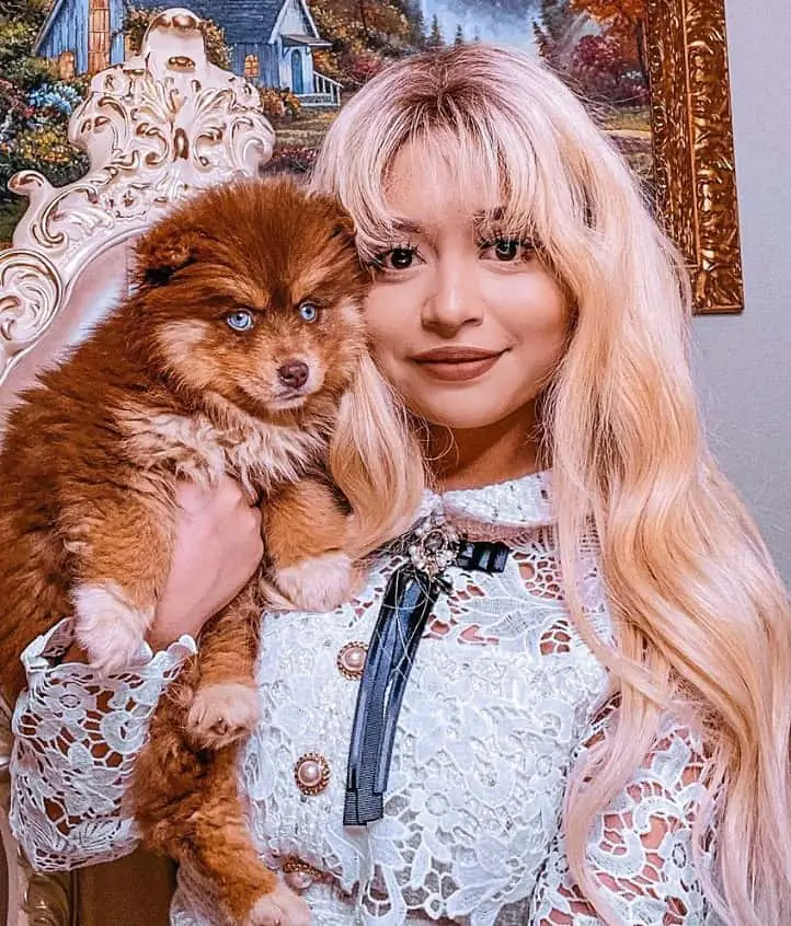 InquisitorMaster (Alex Einstein): Wiki, Bio, Age, Height, Real Name ...