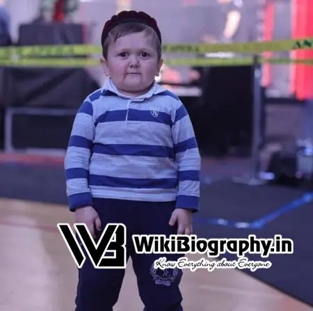 Hasbulla Magomedov: Wiki, Bio, Age, Height, Parents, Net Worth