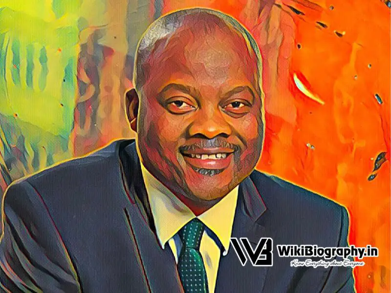 Mfundo Nkuhlu: Wiki, Bio, Age, Nedbank, Ecobank, Net Worth