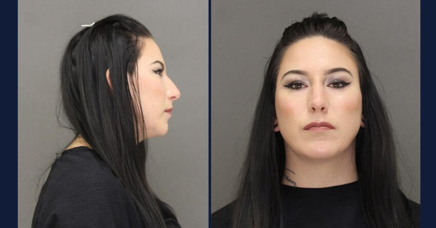 Taylor Schabusiness: Wiki, Bio, Age, Real Name, Story, Net Worth