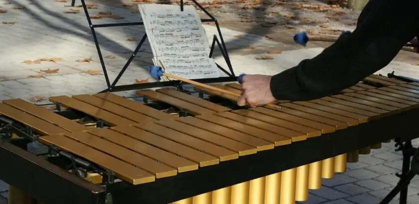 The Xylophone's Origin Story: When Was This Instrument Invented?