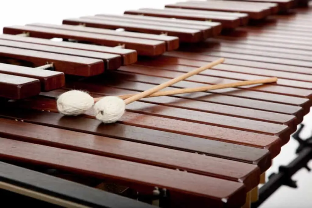 Top Xylophone-Like Instruments for Musicians